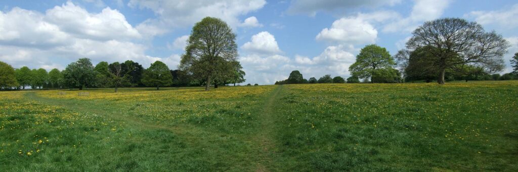 Think Like a Commoner | A Short Introduction to the Life of the Commons